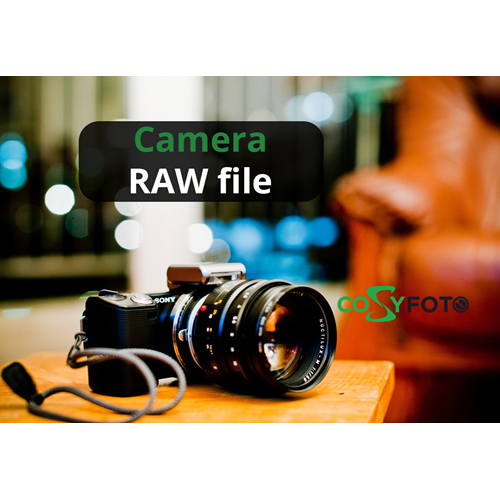 Camera RAW file – the best choice for professional photography | CosyFoto