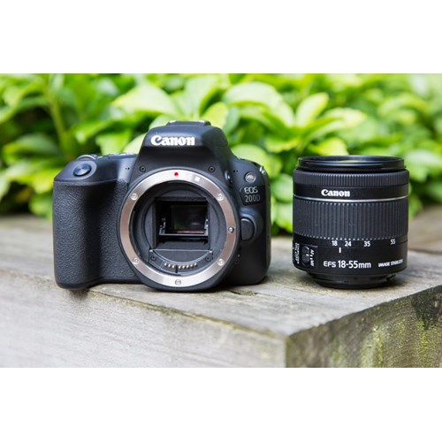 Top 6 best cheap Canon cameras for professional photography | CosyFoto